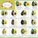 Organic Avocado Box| Avocado Gift Box| Florida Avocado Assortment ...