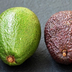 Organic Avocado Box| Avocado Gift Box| Florida Avocado Assortment ...