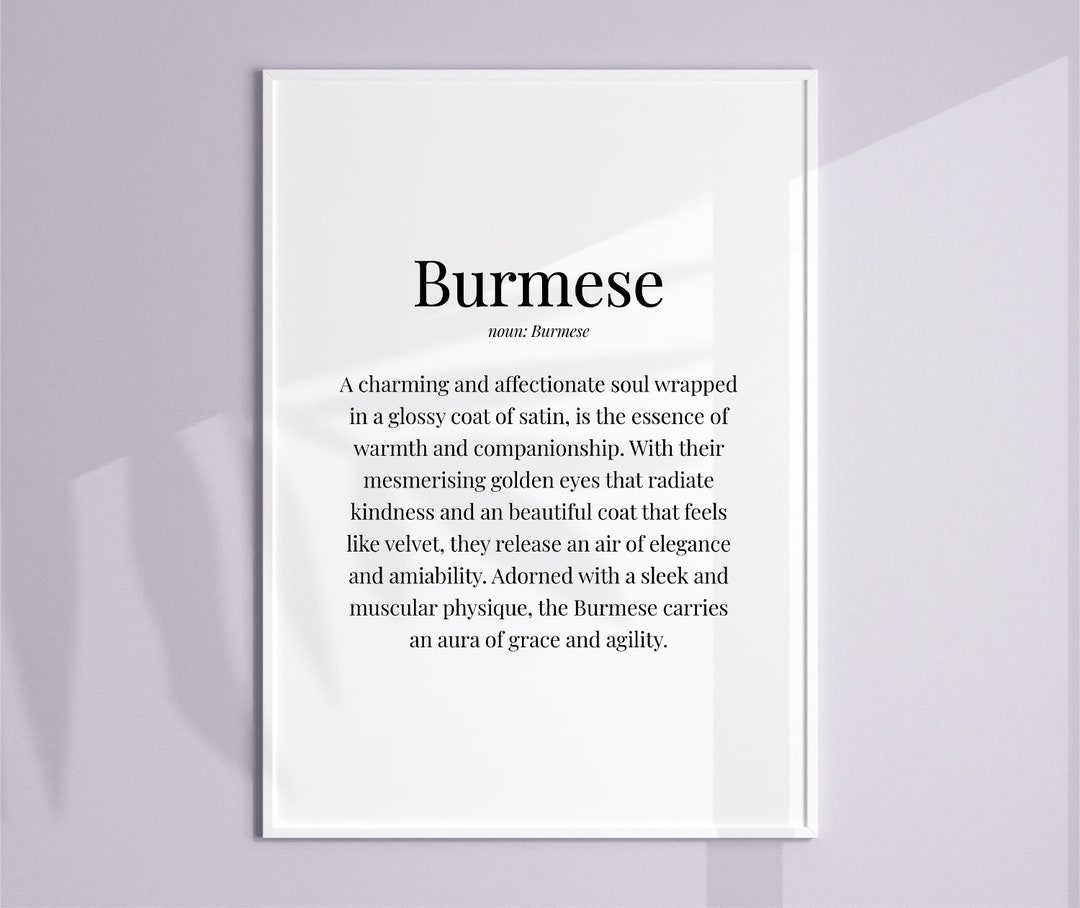 Burmese Definition Print Burmese Poster Burmese Home Decor - Etsy