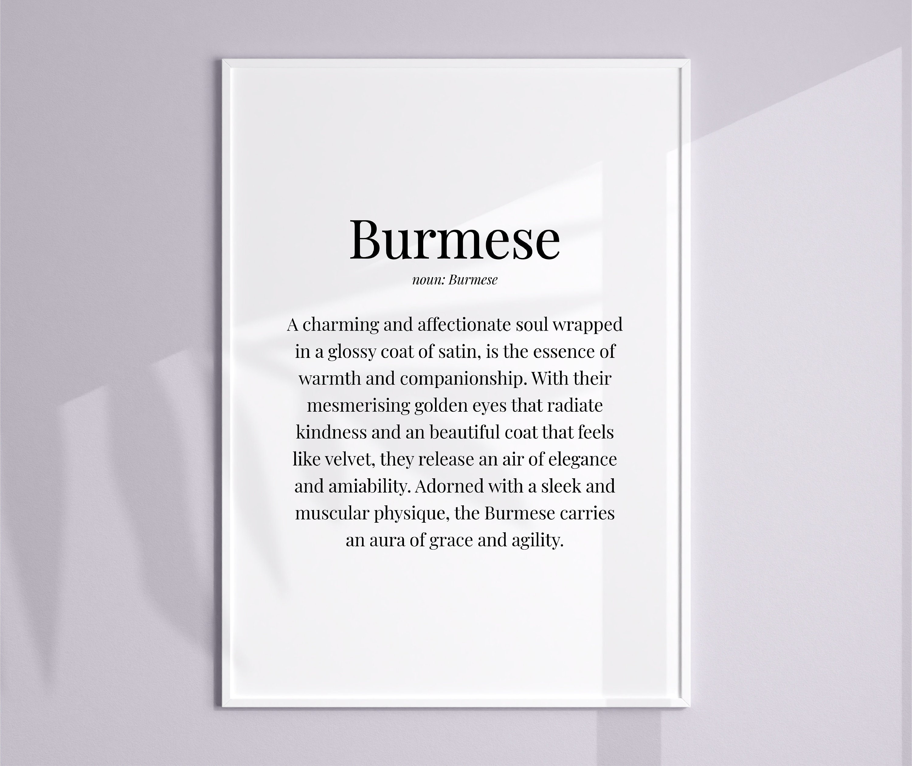 Burmese Definition Print Burmese Poster Burmese Home Decor - Etsy Australia