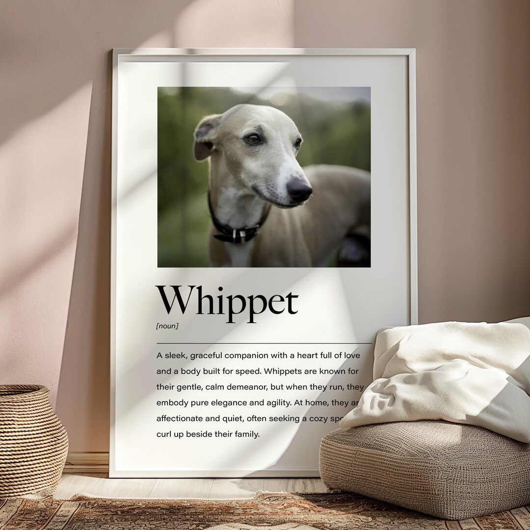 Personalised Whippet Definition Print, Whippet Poster, Whippet Home ...