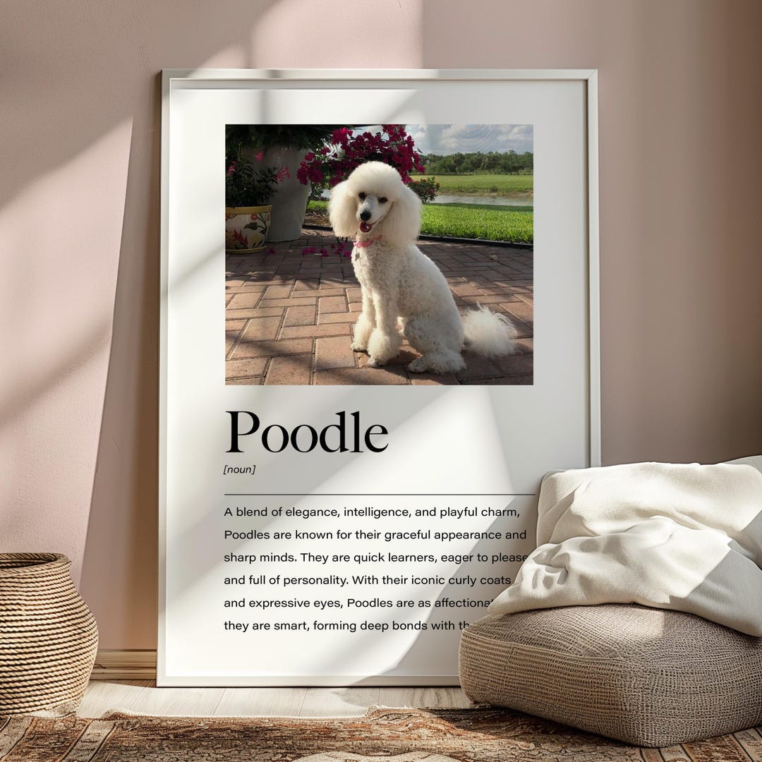Poodle Definition Print, Poodle Poster, Poodle Home Decor, Poodle Wall ...
