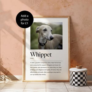 Whippet Definition Print, Whippet Poster, Whippet Home Decor, Whippet ...