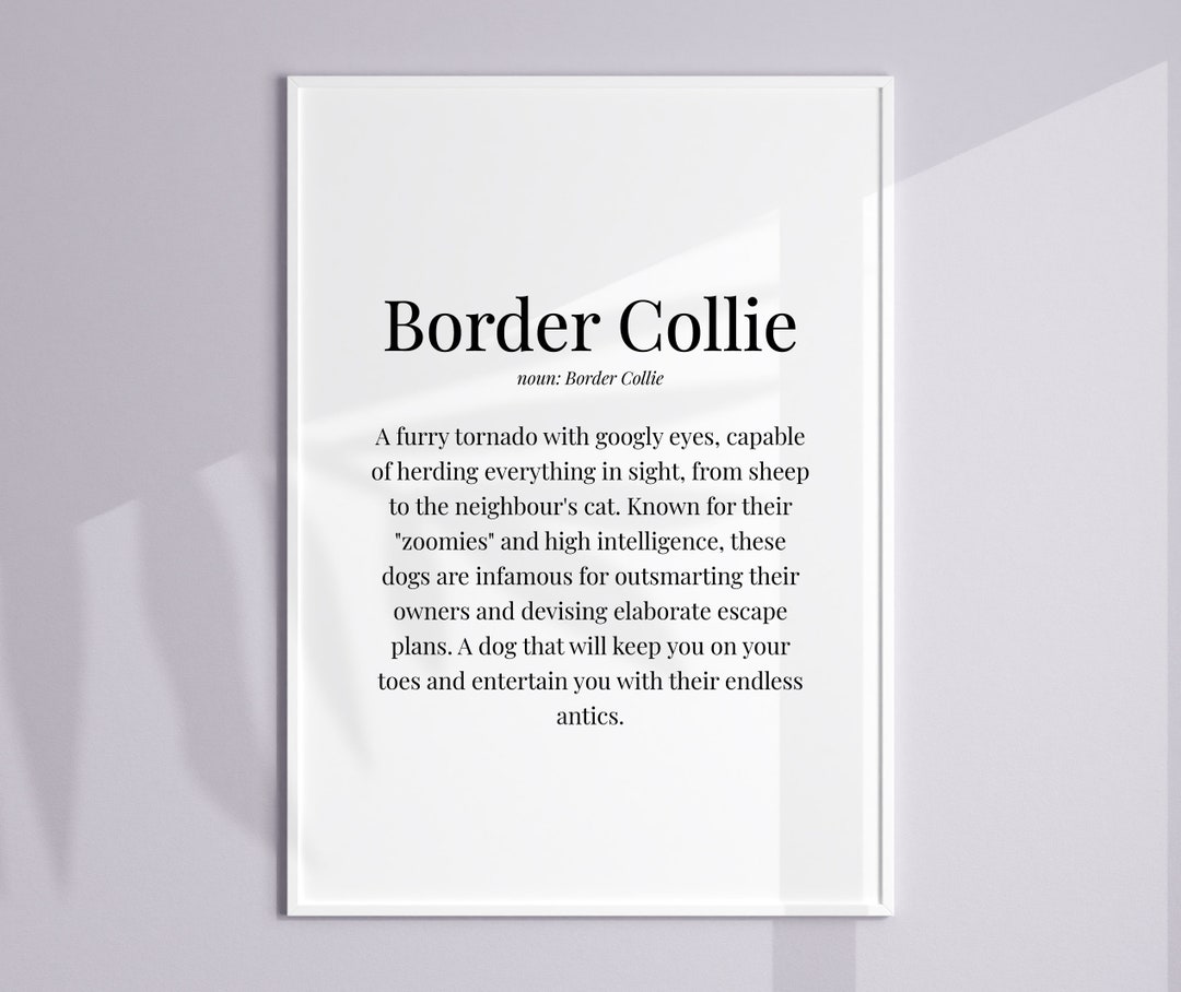 Border Collie Definition Print, Border Collie Poster, Border Collie ...