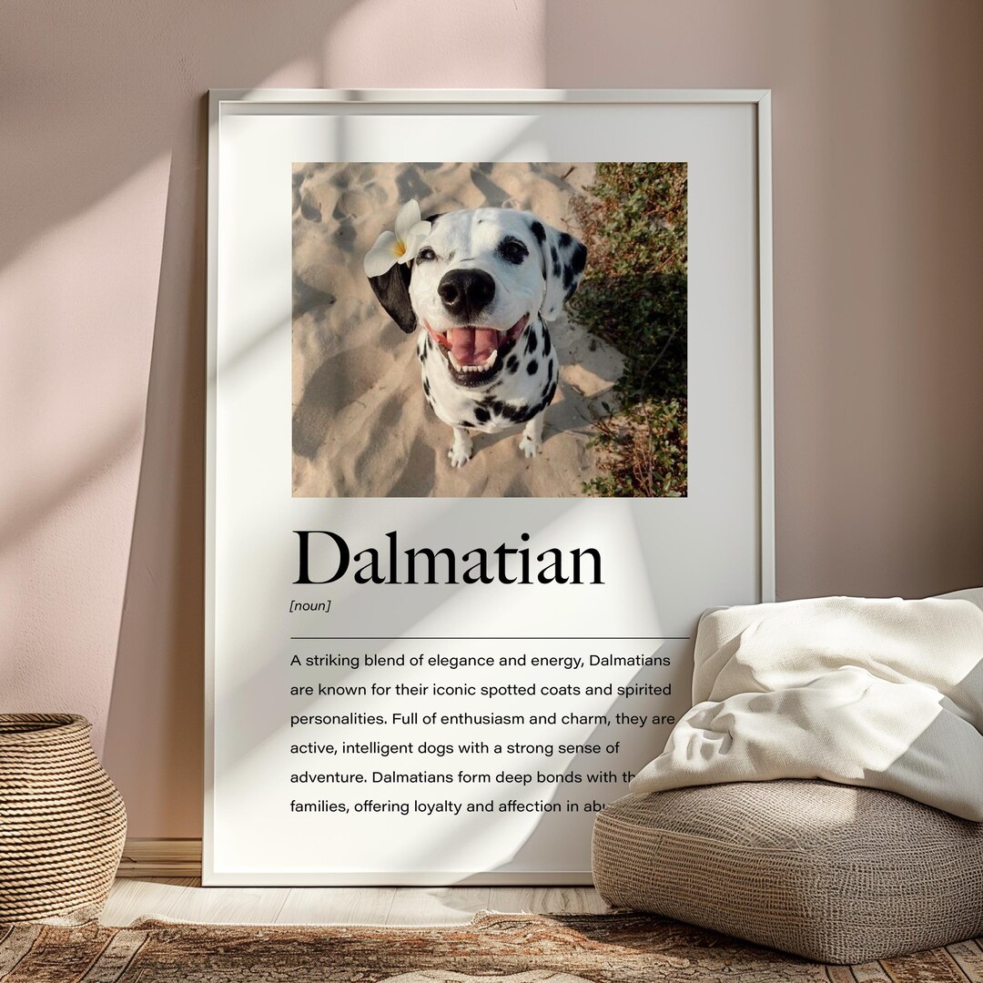 Personalised Dalmatian Definition Print, Dalmatian Poster, Dalmatian ...