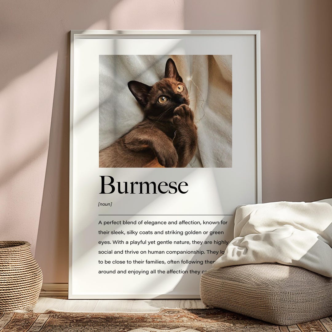 Personalised Burmese Definition Print, Burmese Poster, Burmese Home ...