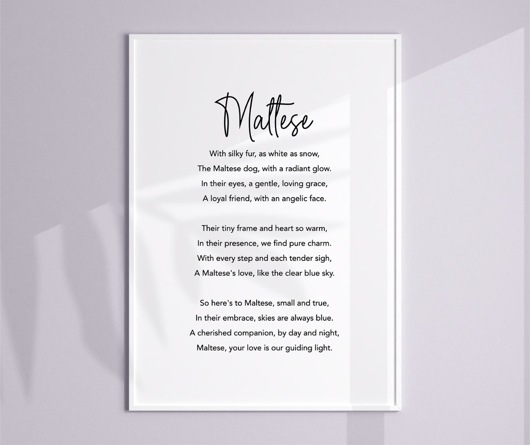 Maltese Poem Print, Maltese Poster, Maltese Home Decor, Maltese Wall ...