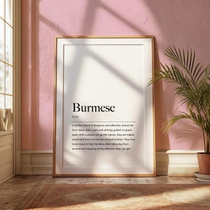 Burmese Definition Print, Burmese Poster, Burmese Home Decor, Burmese ...