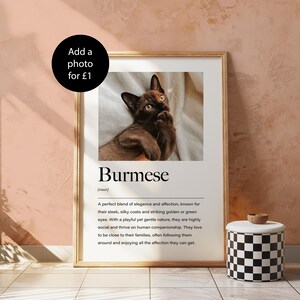 Burmese Definition Print, Burmese Poster, Burmese Home Decor, Burmese ...