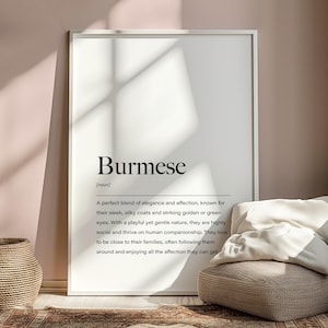 Burmese Definition Print, Burmese Poster, Burmese Home Decor, Burmese ...