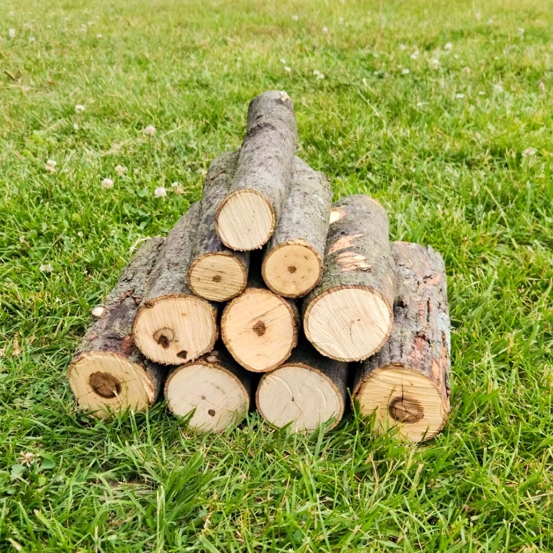 Wood Log - Etsy