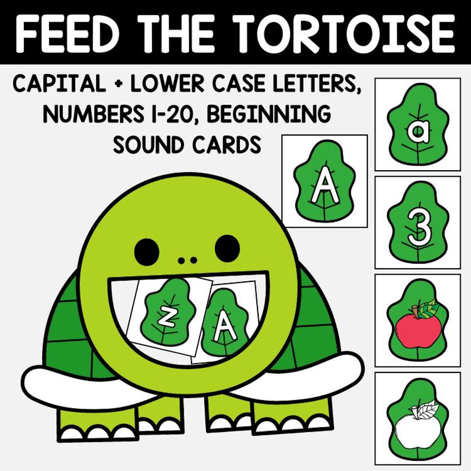Feed the Tortoise, Preschool Sensory Bin Cards, Printable Pet Feeding ...