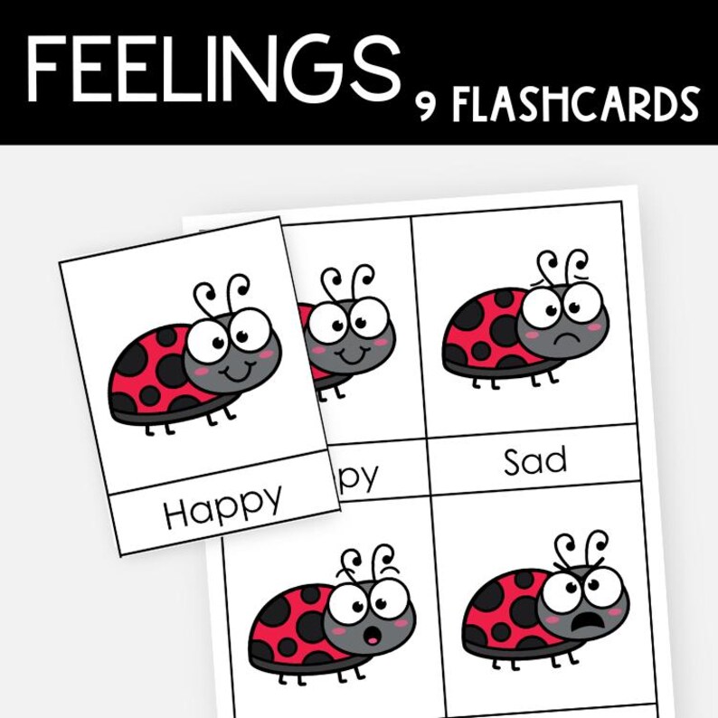 Ladybug Feelings Check in Chart, Spring Emotions SEL Flashcards ...