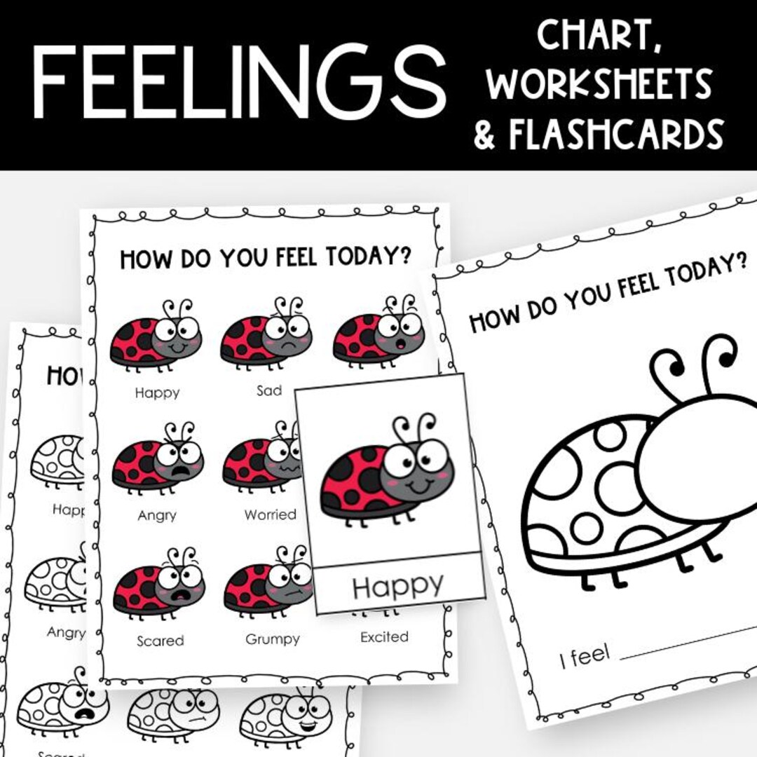 Ladybug Feelings Check in Chart, Spring Emotions SEL Flashcards ...