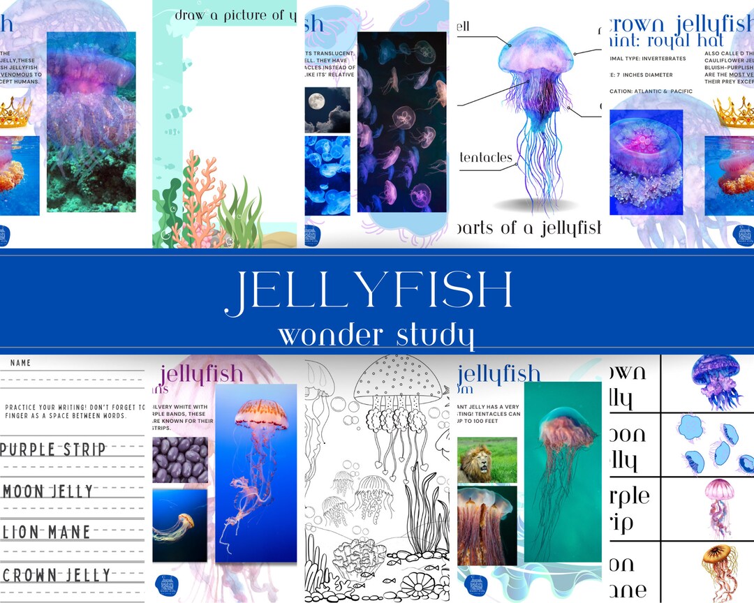 Jellyfish - Unit Study - Etsy