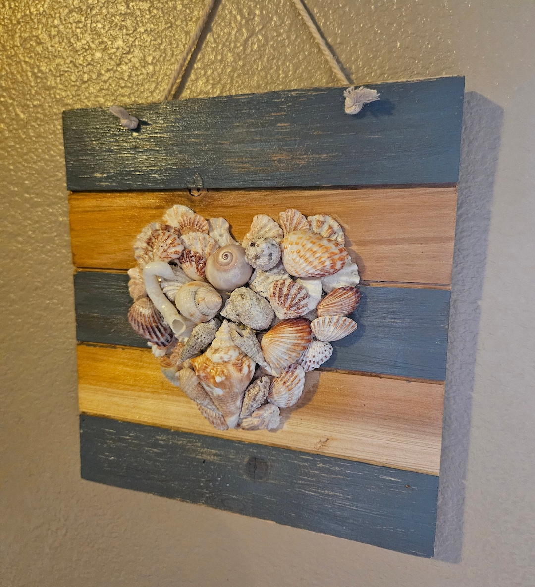 Shell Decor - Etsy