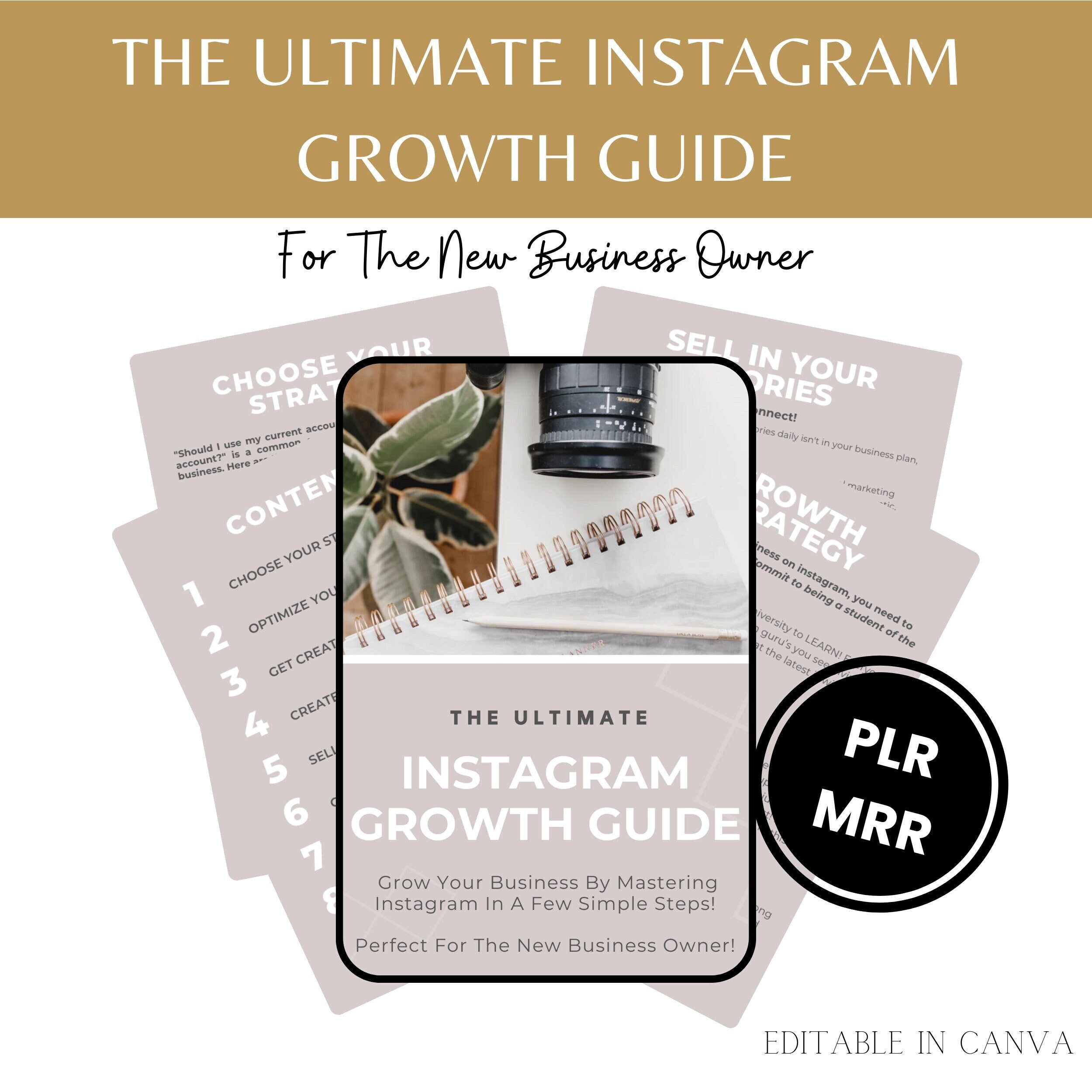 The Ultimate Instagram Growth Guide With Private Label Rights PLR and ...