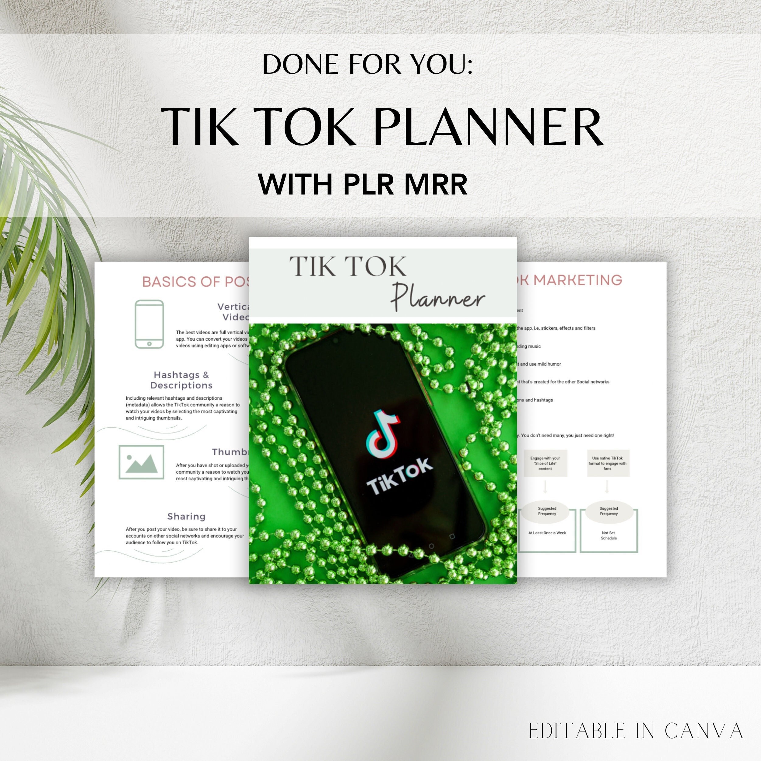 Tik Tok Social Media Planner With Master Resell Rights (MRR) and ...