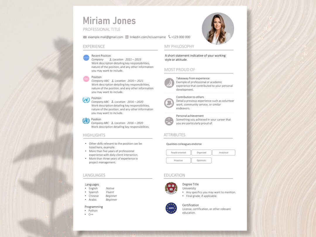 Resume CV Template Editable CV Template With Icons Modern - Etsy Denmark