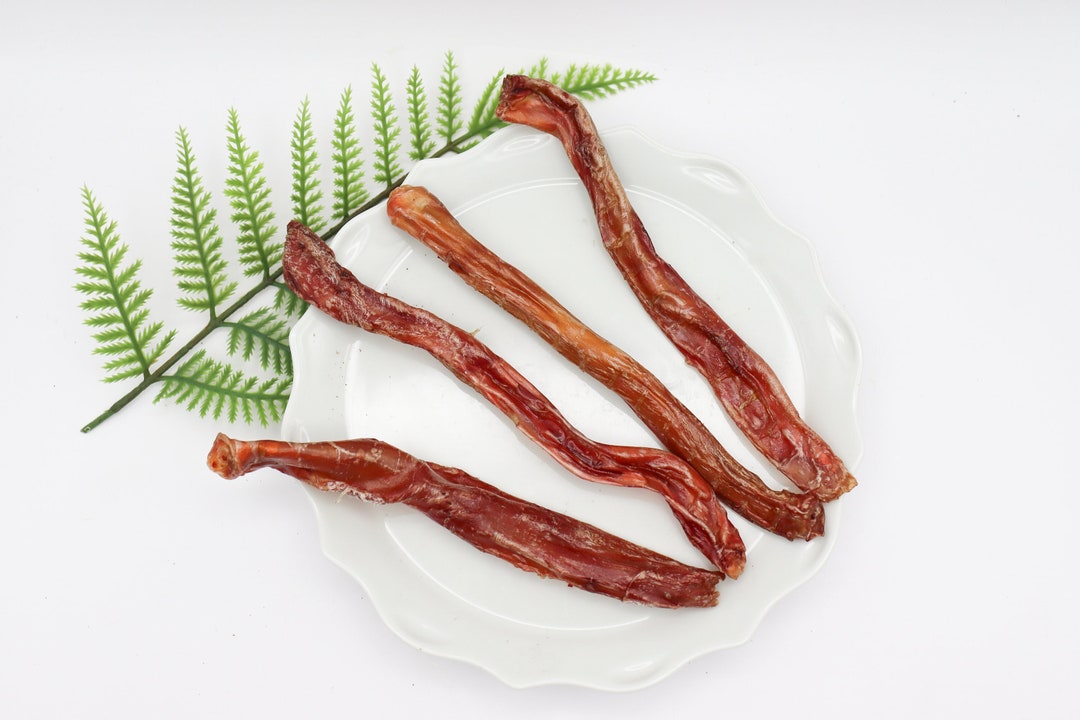 Dehydrated Beef Pizzle Healthy Dog Treats Healthy Dog Chews Organic Dog ...