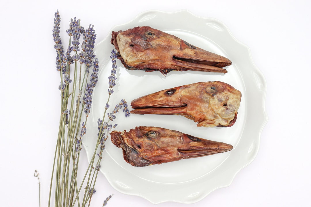 Dehydrated Duck Heads for Dogs | Healthy Dog Chews | Organic Dog Treats ...