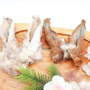 Dehydrated Rabbit Ears for Dogs | Healthy Dog Treats | Healthy Cat ...