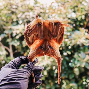 Dehydrated Whole Quails for Dogs | Healthy Dog Treats | Healthy Cat ...