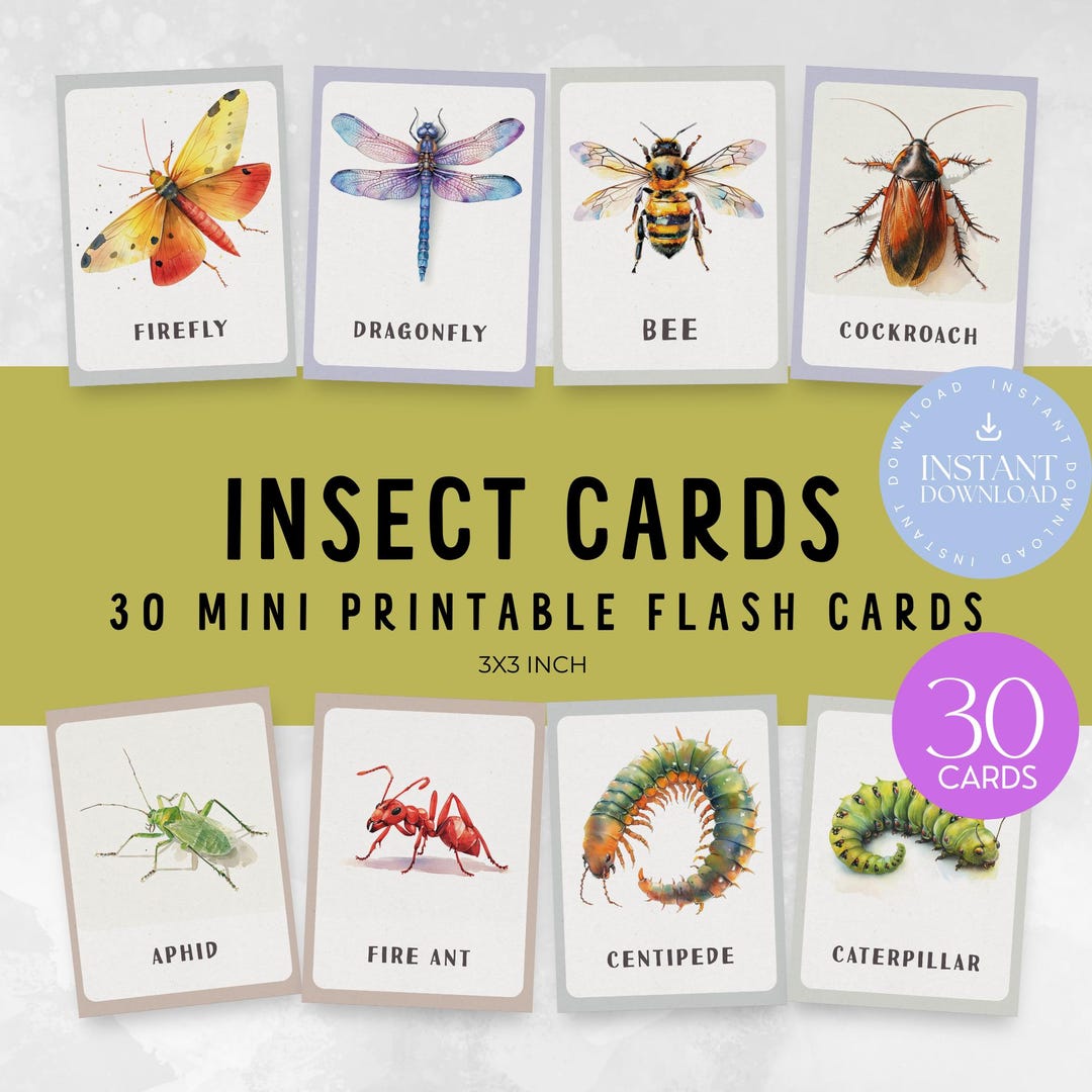 30 Mini Insect Flash Cards | Printable Montessori-inspired Bug Cards ...