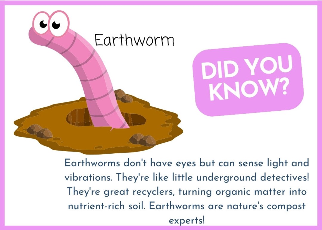 Insect Fun Facts Lunchbox Notes: Bug Cards for Kids (PDF) - Etsy