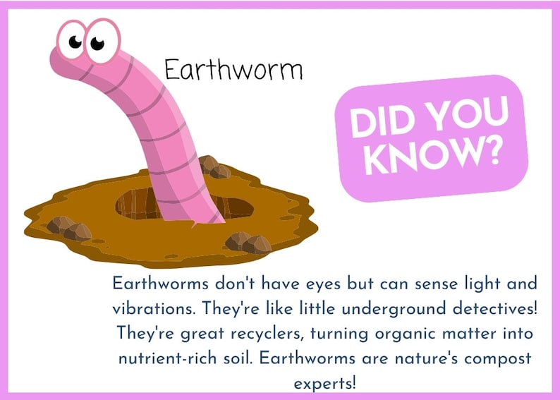 Insect Fun Facts Lunchbox Notes: Bug Cards for Kids (PDF) - Etsy