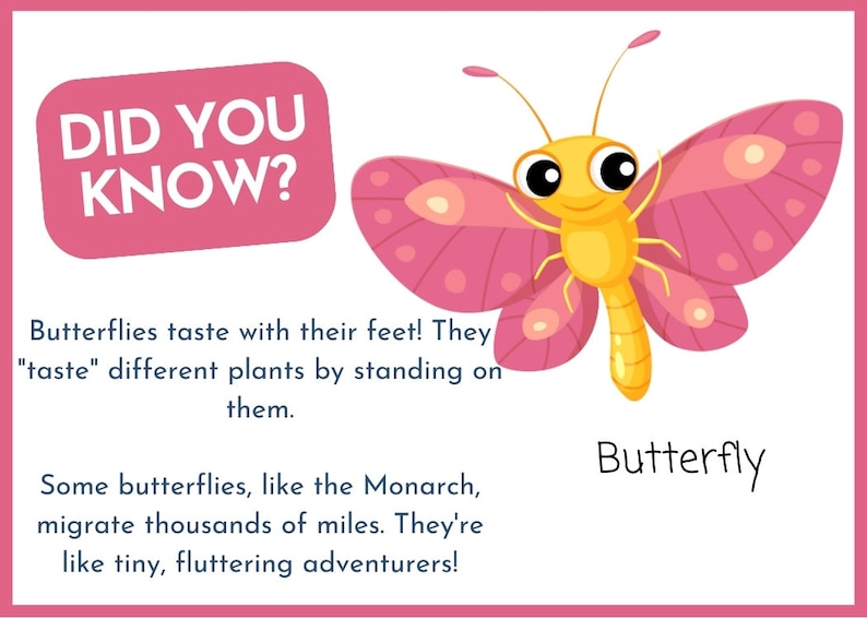 Insect Fun Facts Lunchbox Notes: Bug Cards for Kids (PDF) - Etsy