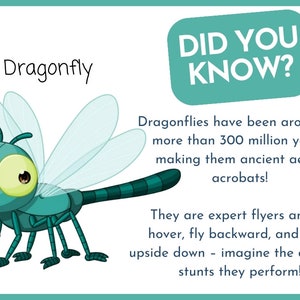 Insect Fun Facts Lunchbox Notes: Bug Cards for Kids (PDF) - Etsy
