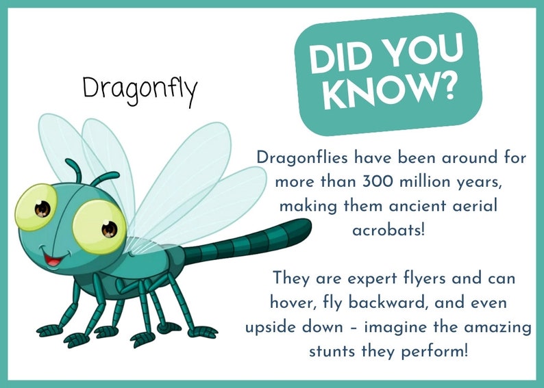 Insect Fun Facts Lunchbox Notes: Bug Cards for Kids (PDF) - Etsy