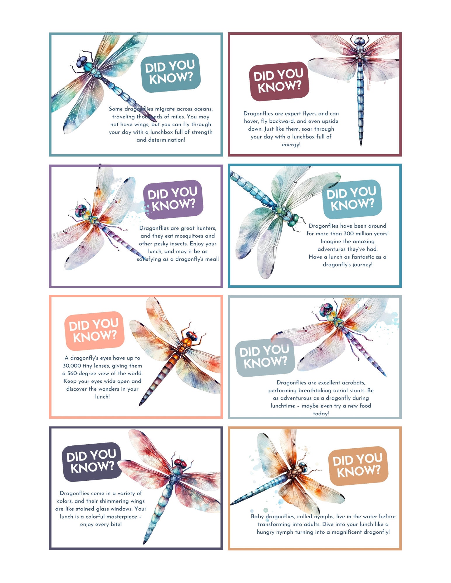 Dragonfly Fun Facts Lunchbox Notes: Kids Learning Cards (PDF) - Etsy