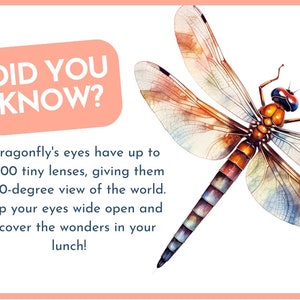 Dragonfly Fun Facts Lunchbox Notes: Kids Learning Cards (PDF) - Etsy
