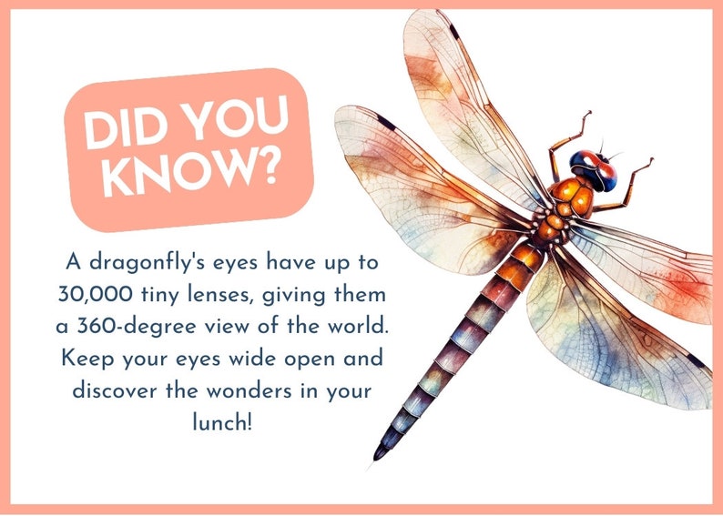 Dragonfly Fun Facts Lunchbox Notes: Kids Learning Cards (PDF) - Etsy