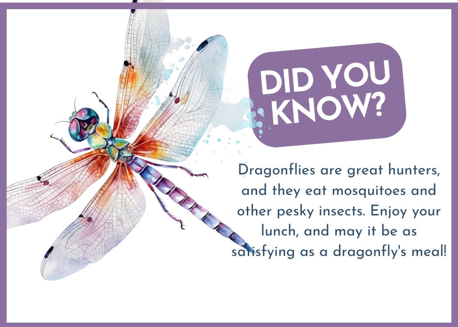 Dragonfly Fun Facts Lunchbox Notes: Kids Learning Cards (PDF) - Etsy