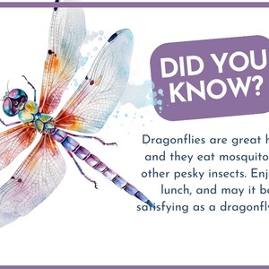 Dragonfly Fun Facts Lunchbox Notes: Kids Learning Cards (PDF) - Etsy