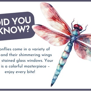 Dragonfly Fun Facts Lunchbox Notes: Kids Learning Cards (PDF) - Etsy