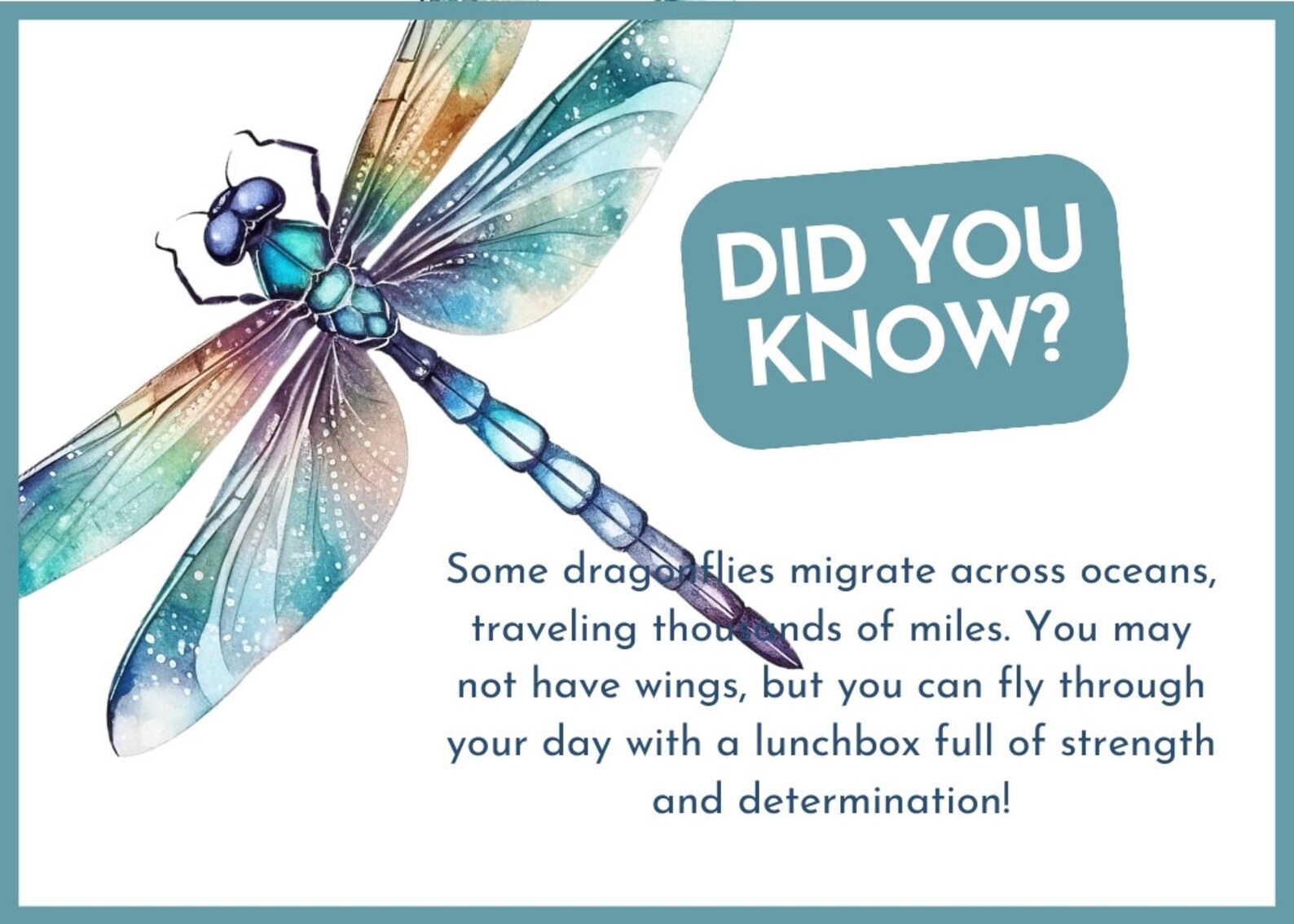 Dragonfly Fun Facts Lunchbox Notes: Kids Learning Cards (PDF) - Etsy