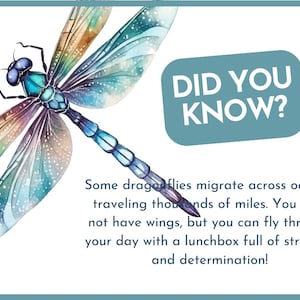 Dragonfly Fun Facts Lunchbox Notes: Kids Learning Cards (PDF) - Etsy