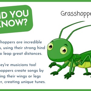 Insect Fun Facts Lunchbox Notes: Bug Cards for Kids (PDF) - Etsy
