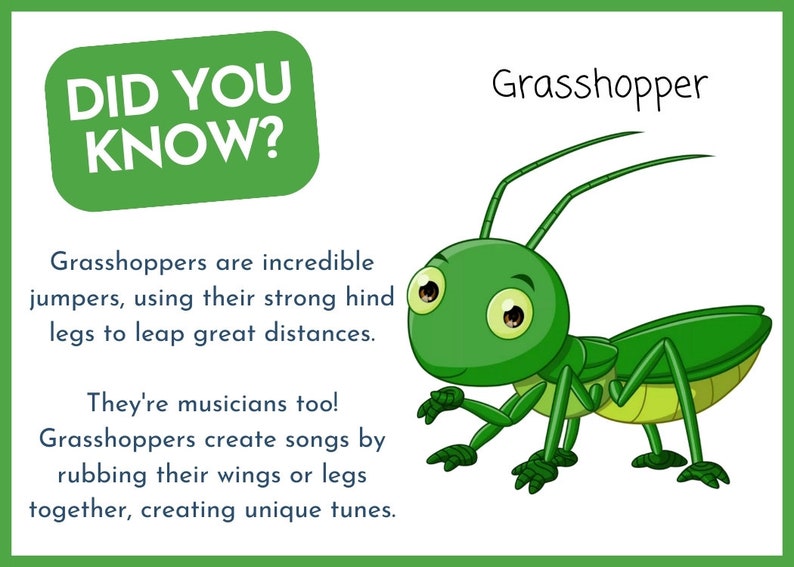 Insect Fun Facts Lunchbox Notes: Bug Cards for Kids (PDF) - Etsy