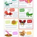 Insect Fun Facts Lunchbox Notes: Bug Cards for Kids (PDF) - Etsy