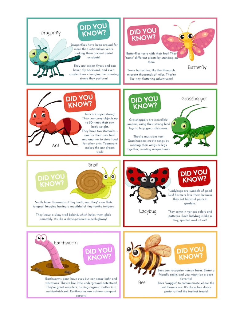 Insect Fun Facts Lunchbox Notes: Bug Cards for Kids (PDF) - Etsy