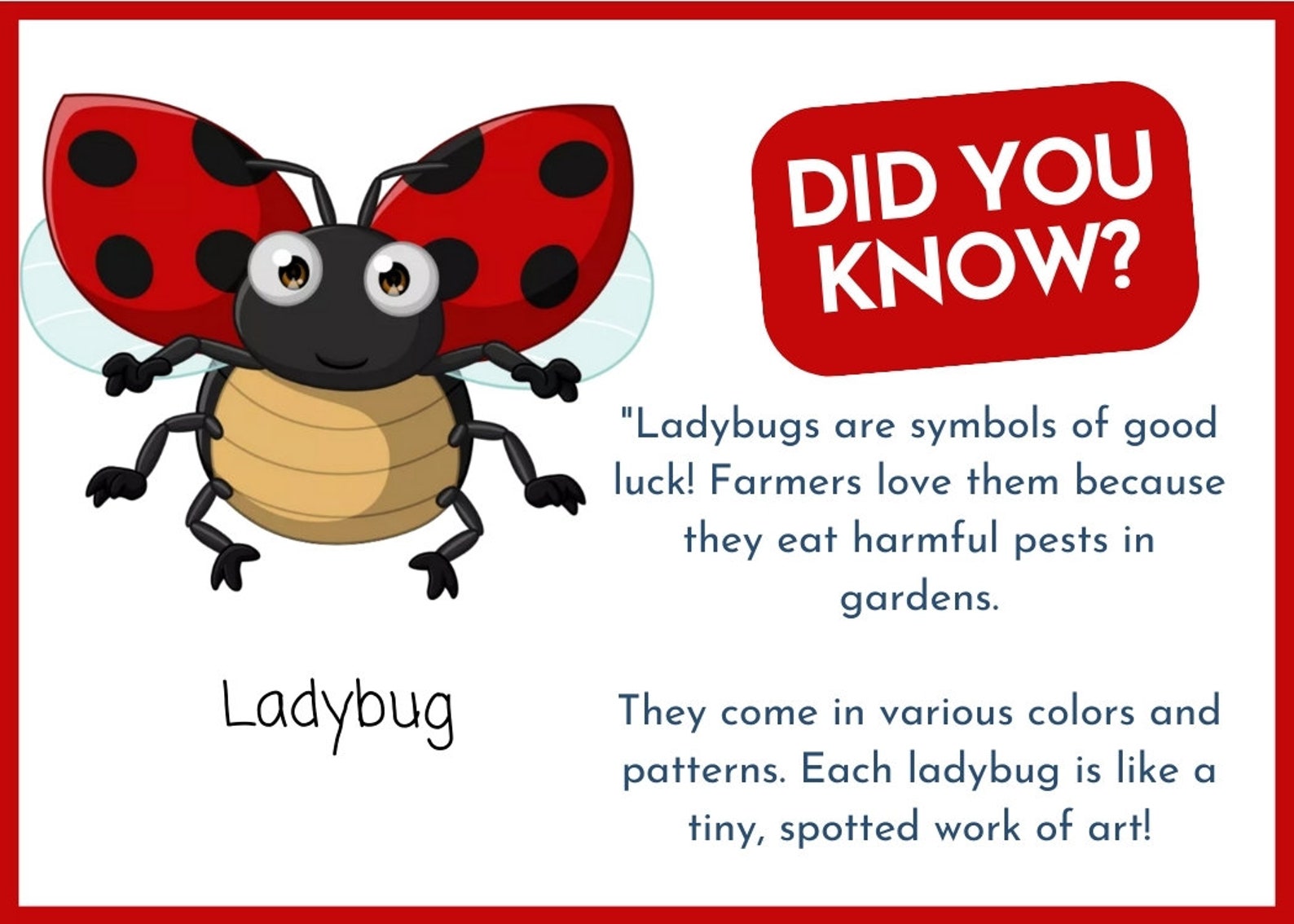 Insect Fun Facts Lunchbox Notes: Bug Cards for Kids (PDF) - Etsy