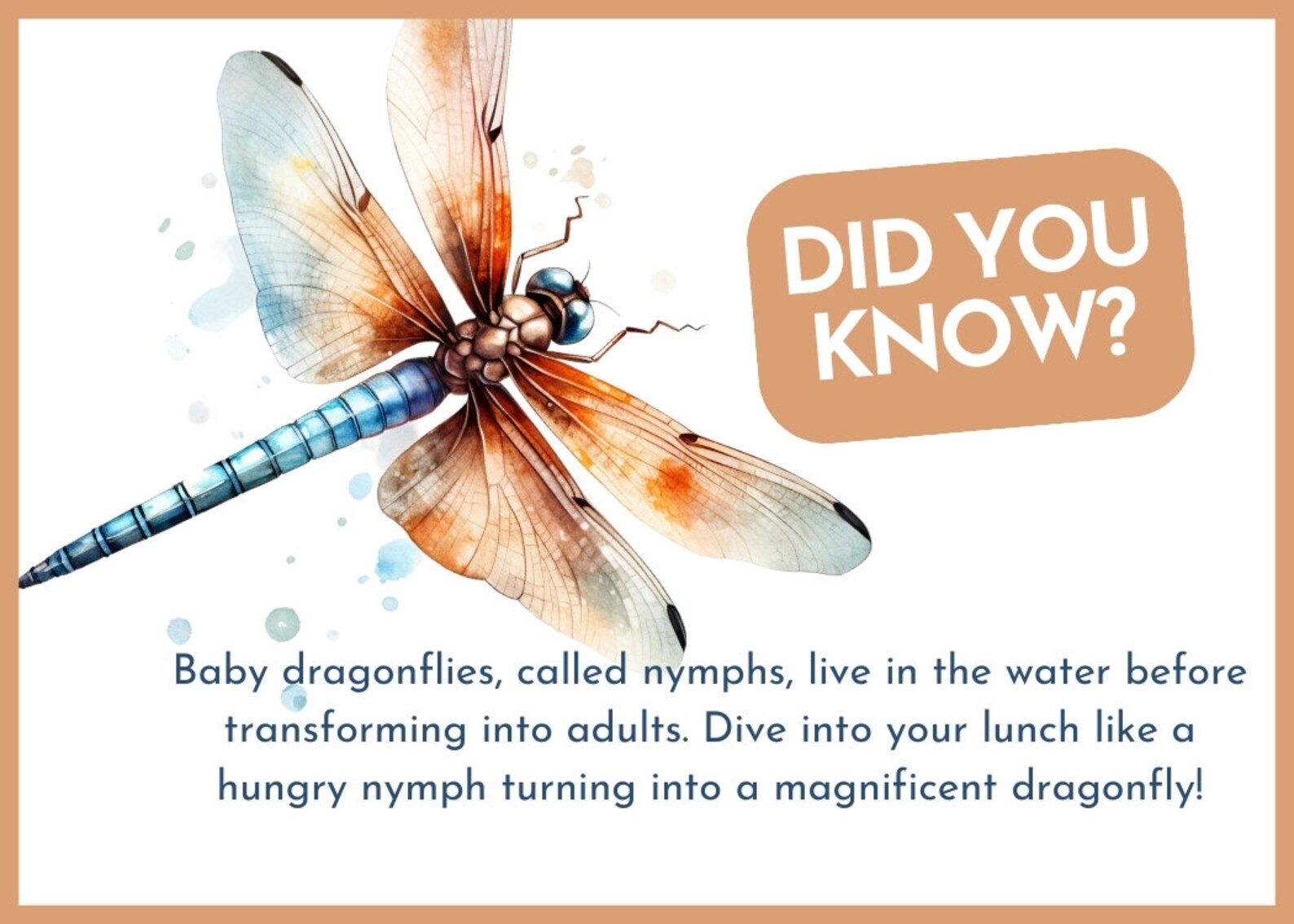 Dragonfly Fun Facts Lunchbox Notes: Kids Learning Cards (PDF) - Etsy