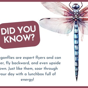 Dragonfly Fun Facts Lunchbox Notes: Kids Learning Cards (PDF) - Etsy