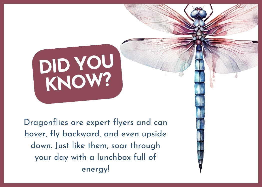 Dragonfly Fun Facts Lunchbox Notes: Kids Learning Cards (PDF) - Etsy