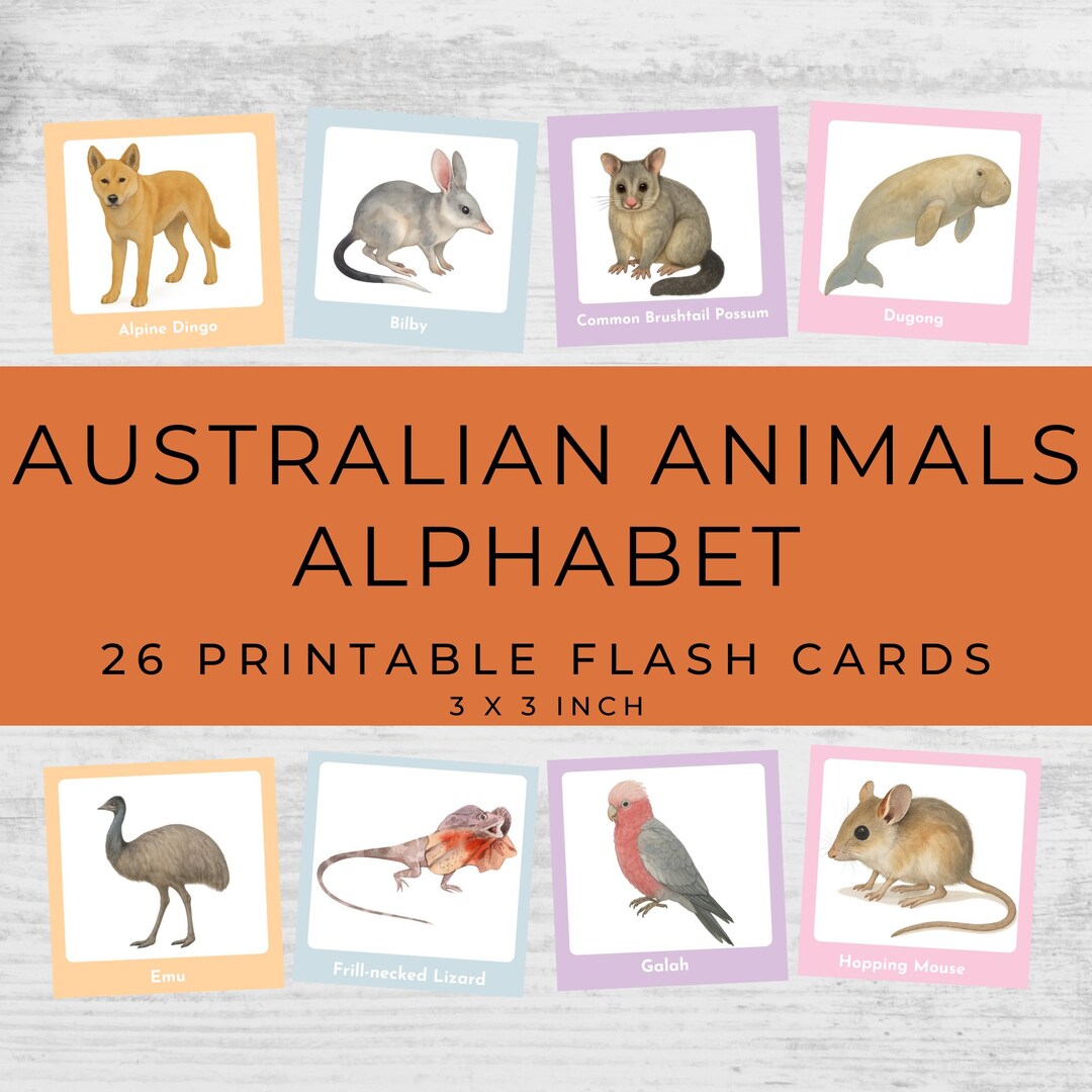 Australian Animal Alphabet Flash Cards | Montessori-inspired | Instant ...